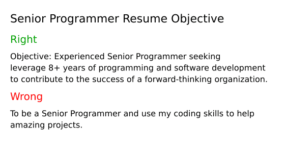 Top 16 Senior Programmer Resume Objective Examples
