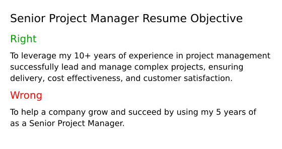 Top 17 Senior Project Manager Resume Objective Examples