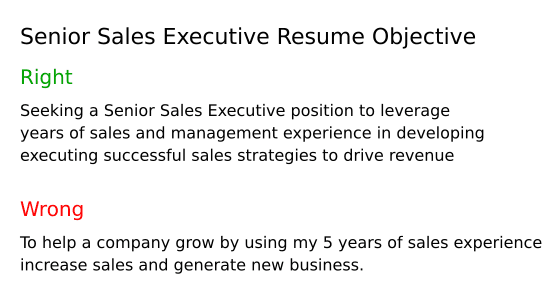 Top 16 Senior Sales Executive Resume Objective Examples
