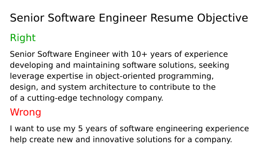 Top 16 Senior Software Engineer Resume Objective Examples