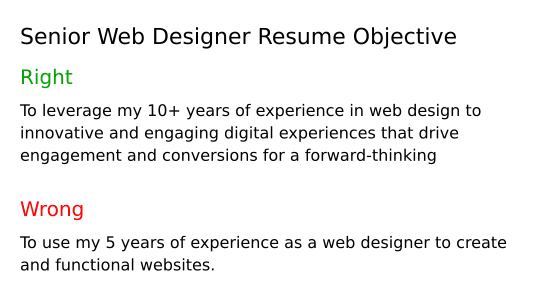 Top 17 Senior Web Designer Resume Objective Examples