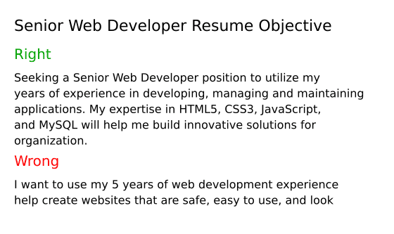Top 16 Senior Web Developer Resume Objective Examples