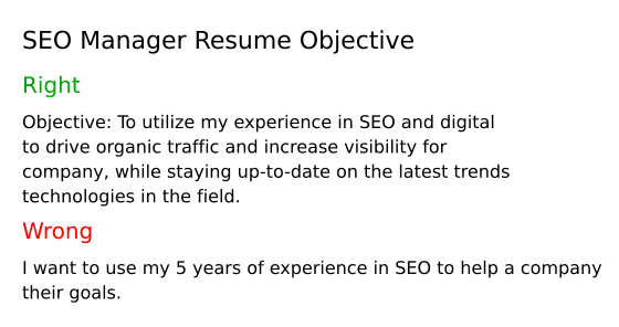 Top 18 SEO Manager Resume Objective Examples | ResumeCat