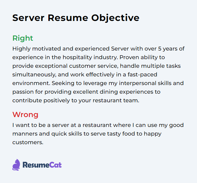Top 18 Server Resume Objective Examples ResumeCat