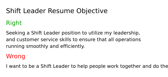 Top 17 Shift Leader Resume Objective Examples | ResumeCat