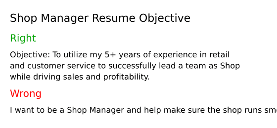 Top 18 Shop Manager Resume Objective Examples | ResumeCat