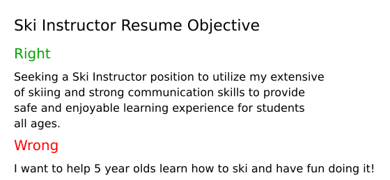 Top 16 Ski Instructor Resume Objective Examples | ResumeCat