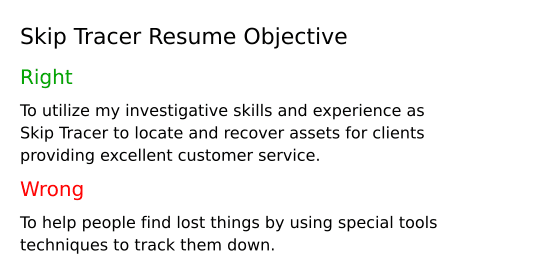 Top 17 Skip Tracer Resume Objective Examples | ResumeCat