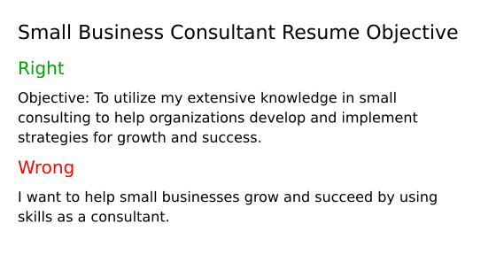 Top 18 Small Business Consultant Resume Objective Examples
