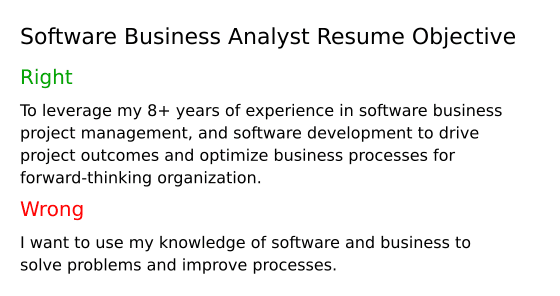 Top 18 Software Business Analyst Resume Objective Examples