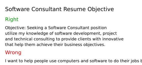 Top 16 Software Consultant Resume Objective Examples