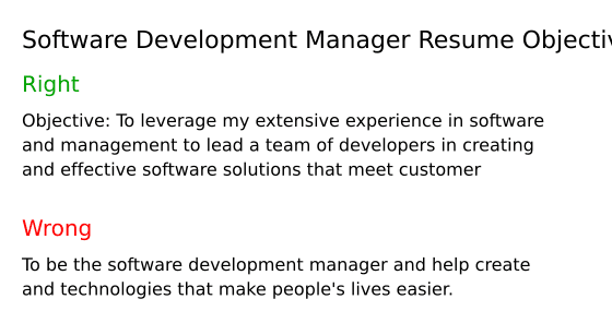 Top 17 Software Development Manager Resume Objective Examples