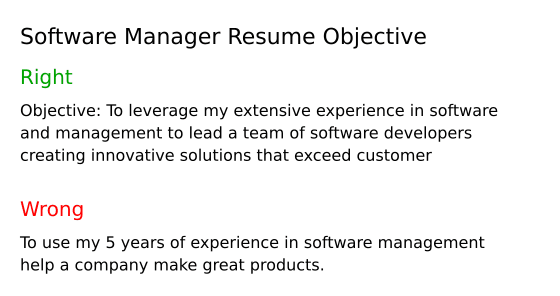 Top 16 Software Manager Resume Objective Examples