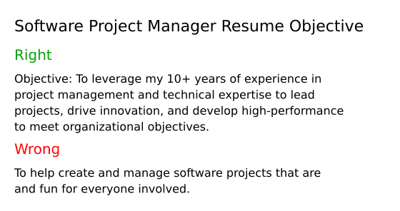 Top 18 Software Project Manager Resume Objective Examples