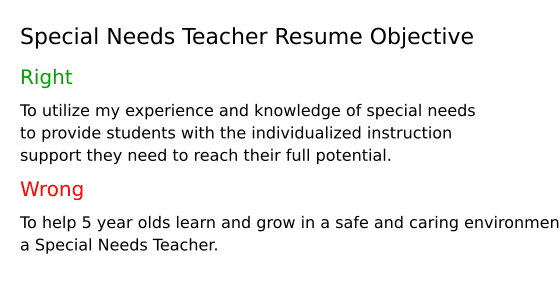 Top 17 Special Needs Teacher Resume Objective Examples