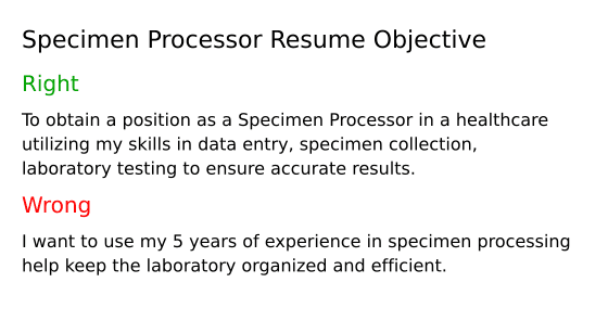 Top 17 Specimen Processor Resume Objective Examples