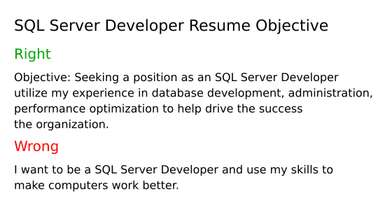 Top 17 SQL Server Developer Resume Objective Examples