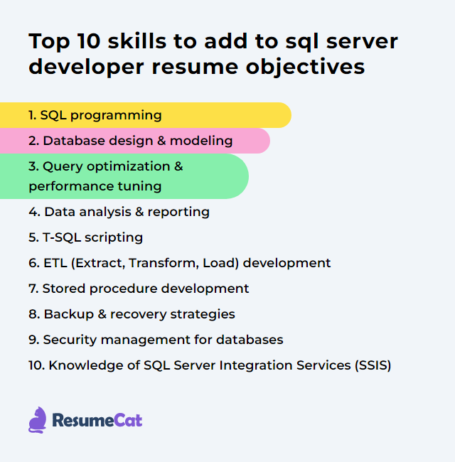 Top 17 SQL Server Developer Resume Objective Examples