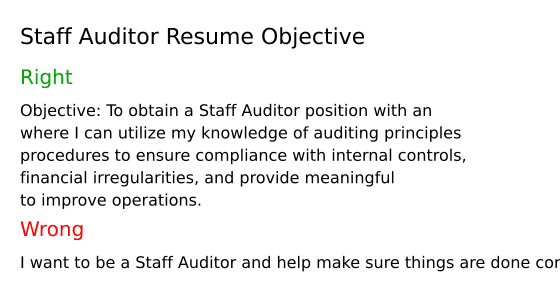 Top 16 Staff Auditor Resume Objective Examples | ResumeCat