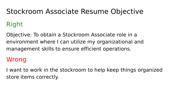 Top 18 Stockroom Associate Resume Objective Examples