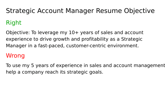 Top 17 Strategic Account Manager Resume Objective Examples