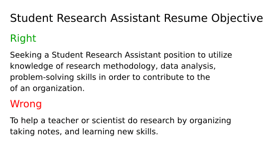 Top 17 Student Research Assistant Resume Objective Examples