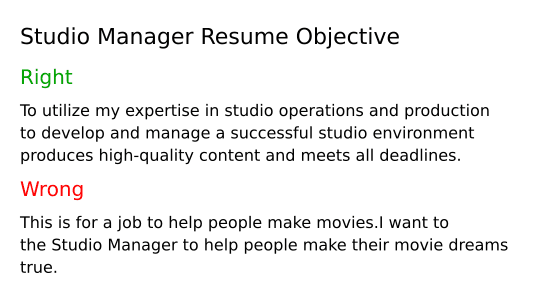 Top 17 Studio Manager Resume Objective Examples | ResumeCat