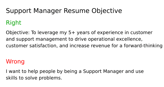Top 17 Support Manager Resume Objective Examples | ResumeCat
