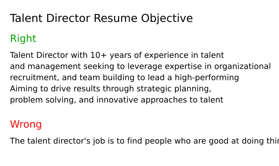 Top 16 Talent Director Resume Objective Examples | ResumeCat