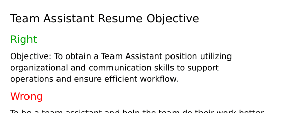 Top 17 Team Assistant Resume Objective Examples | ResumeCat