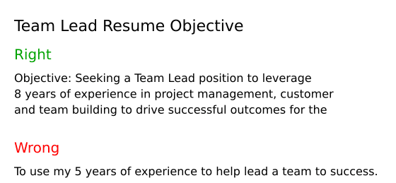 Top 16 Team Lead Resume Objective Examples | ResumeCat