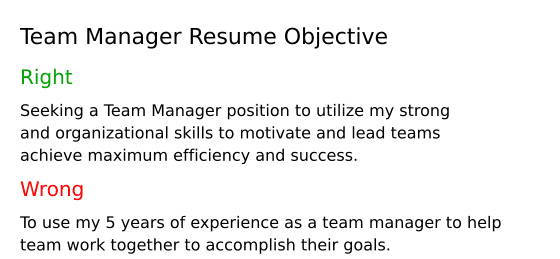 Top 18 Team Manager Resume Objective Examples | ResumeCat