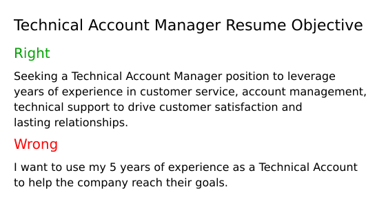 Top 16 Technical Account Manager Resume Objective Examples