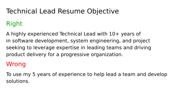 Top 16 Technical Lead Resume Objective Examples | ResumeCat