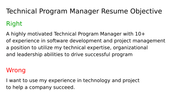 Top 18 Technical Program Manager Resume Objective Examples