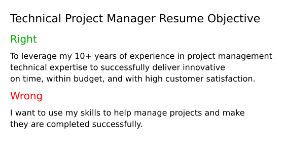 Top 17 Technical Project Manager Resume Objective Examples