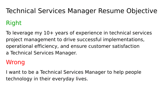 Top 18 Technical Services Manager Resume Objective Examples