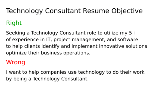 Top 17 Technology Consultant Resume Objective Examples