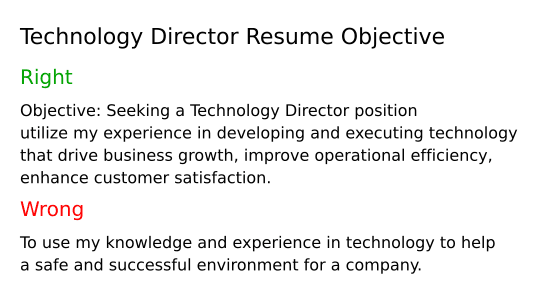 Top 18 Technology Director Resume Objective Examples