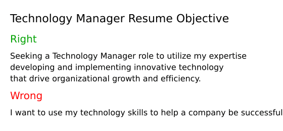 Top 18 Technology Manager Resume Objective Examples