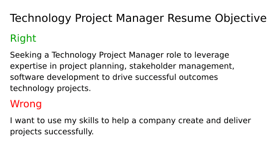 Top 17 Technology Project Manager Resume Objective Examples