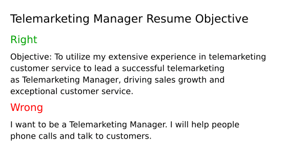 Top 16 Telemarketing Manager Resume Objective Examples