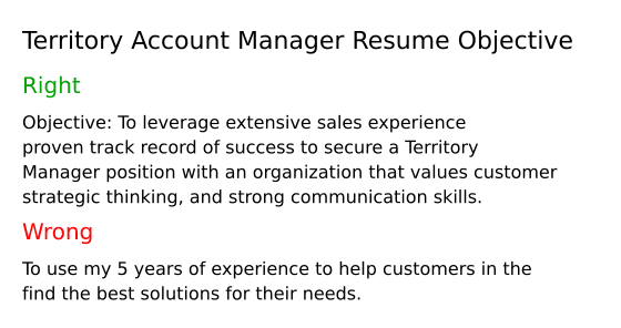Top 17 Territory Account Manager Resume Objective Examples