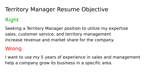 Top 17 Territory Manager Resume Objective Examples