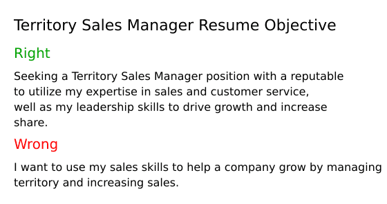 Top 17 Territory Sales Manager Resume Objective Examples