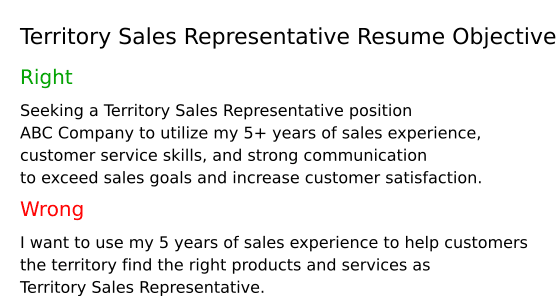 Top 16 Territory Sales Representative Resume Objective Examples