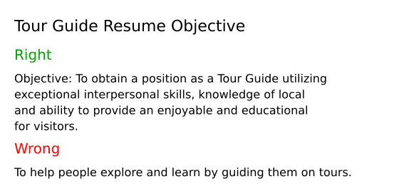 Top 16 Tour Guide Resume Objective Examples | ResumeCat