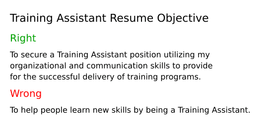 Top 18 Training Assistant Resume Objective Examples