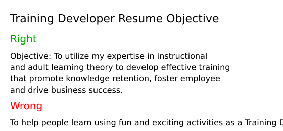 Top 16 Training Developer Resume Objective Examples