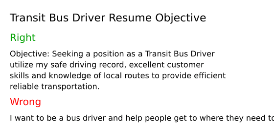 Top 16 Transit Bus Driver Resume Objective Examples